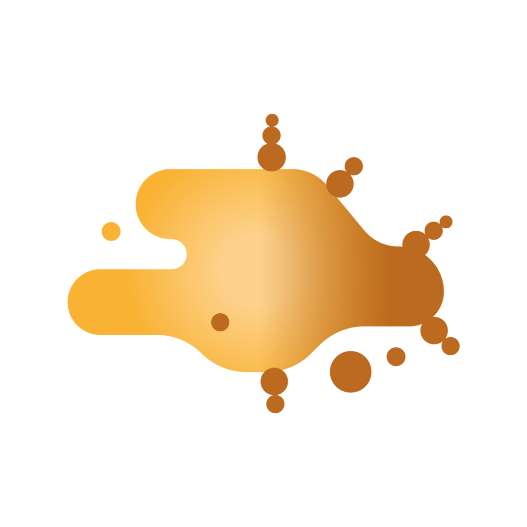 Kookprocessen - Koken met Kennis